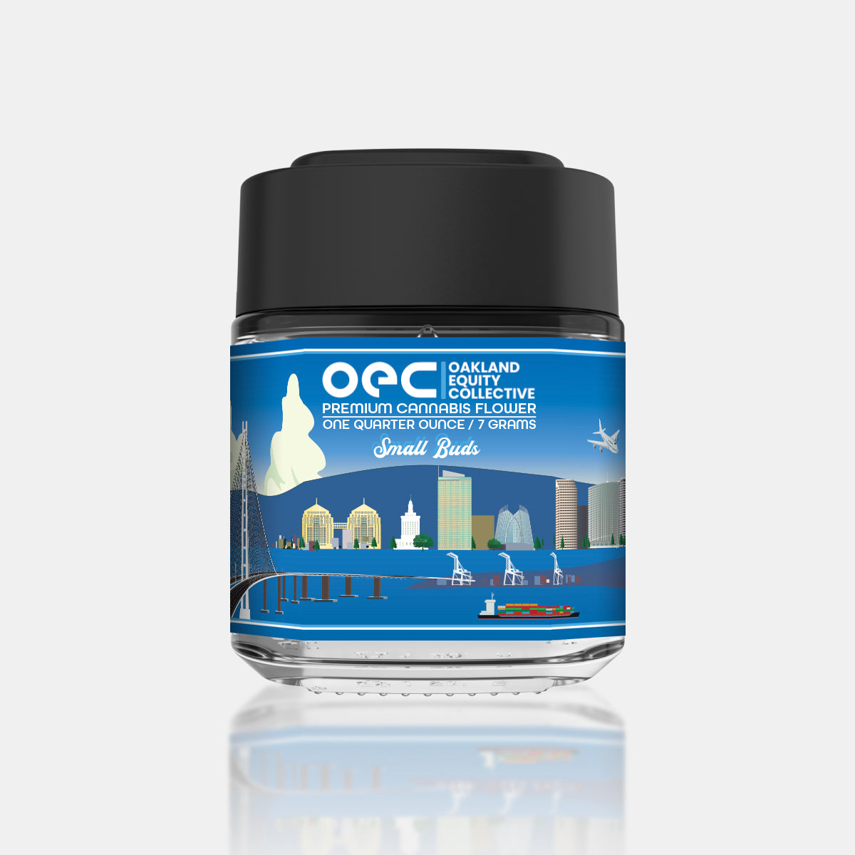 Equity+ 18-Month Cohort Program – Oakland Equity Collective